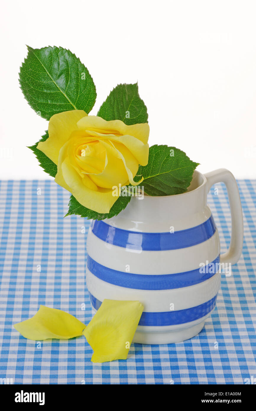 Gingham flower hi-res stock photography and images - Alamy