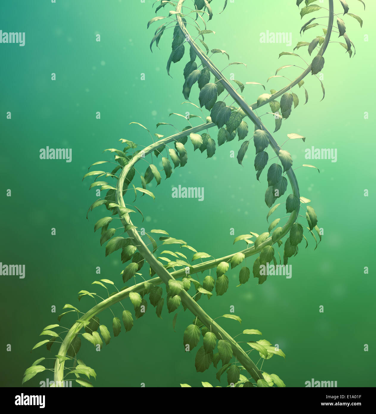 Leaf covered branches shaped like a double helix - DNA and genetics ...
