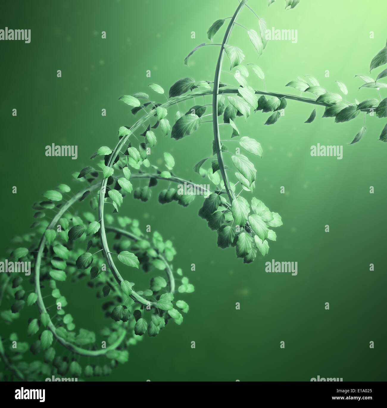 Leaf covered branches shaped like a double helix - DNA and genetics ...