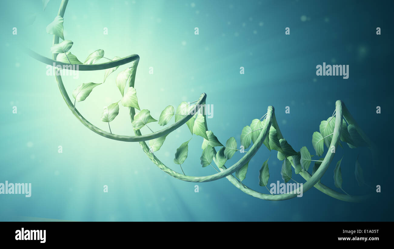 Leaf covered branches shaped like a double helix - DNA and genetics ...