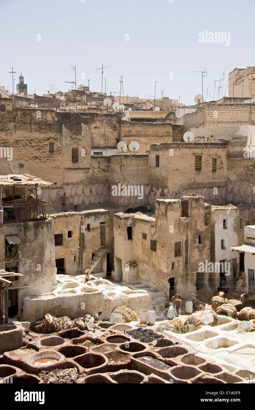 Chouwara traditional leather tannery in Old Fez, vats for tanning and ...