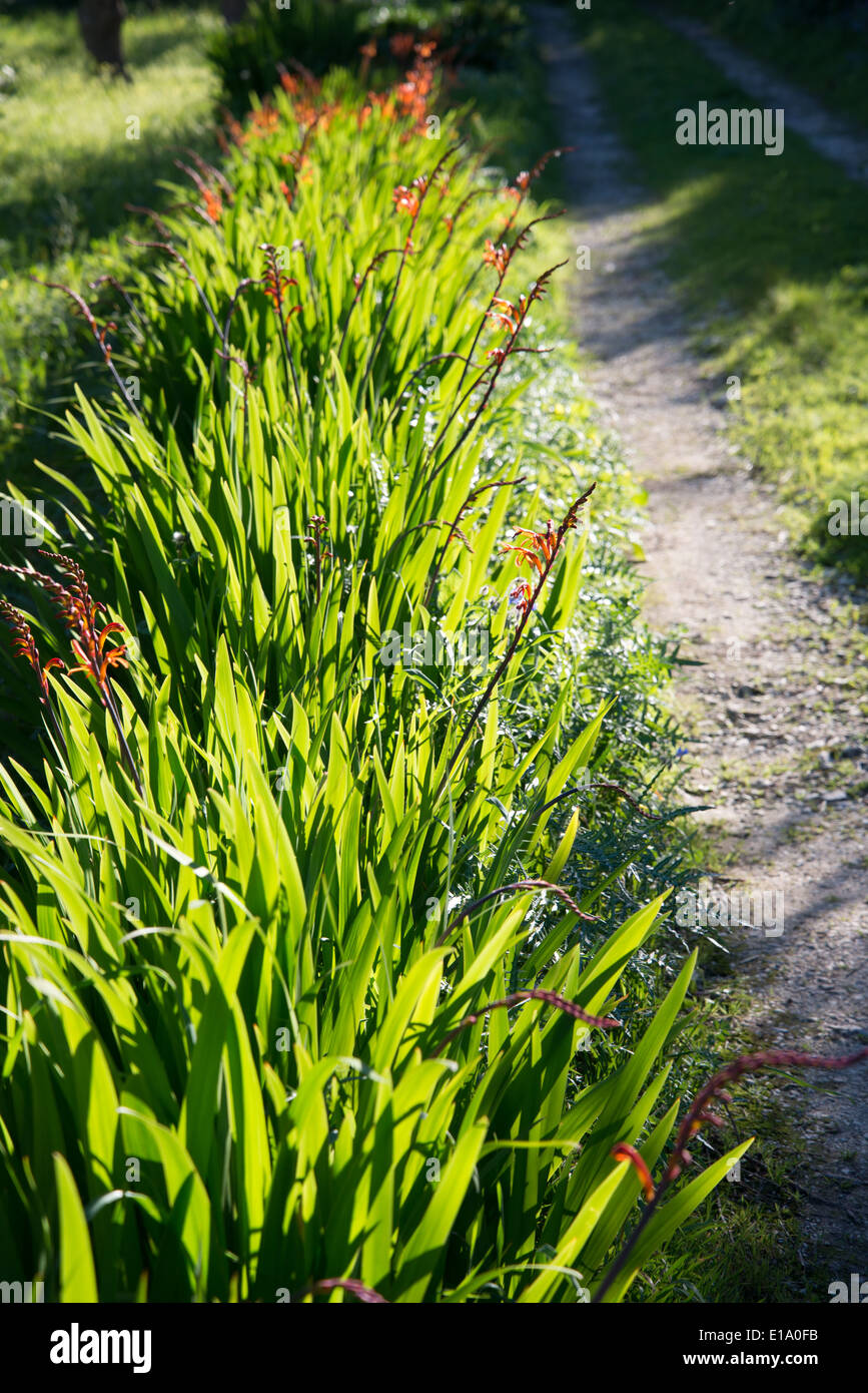 way of nature Stock Photo - Alamy
