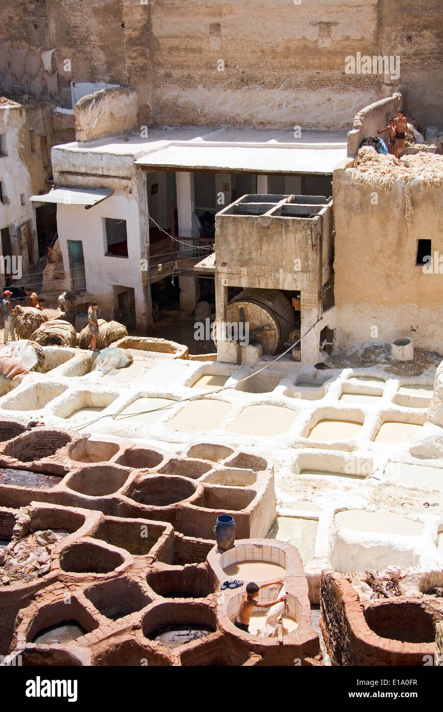 Chouwara traditional leather tannery in Old Fez, vats for tanning and ...