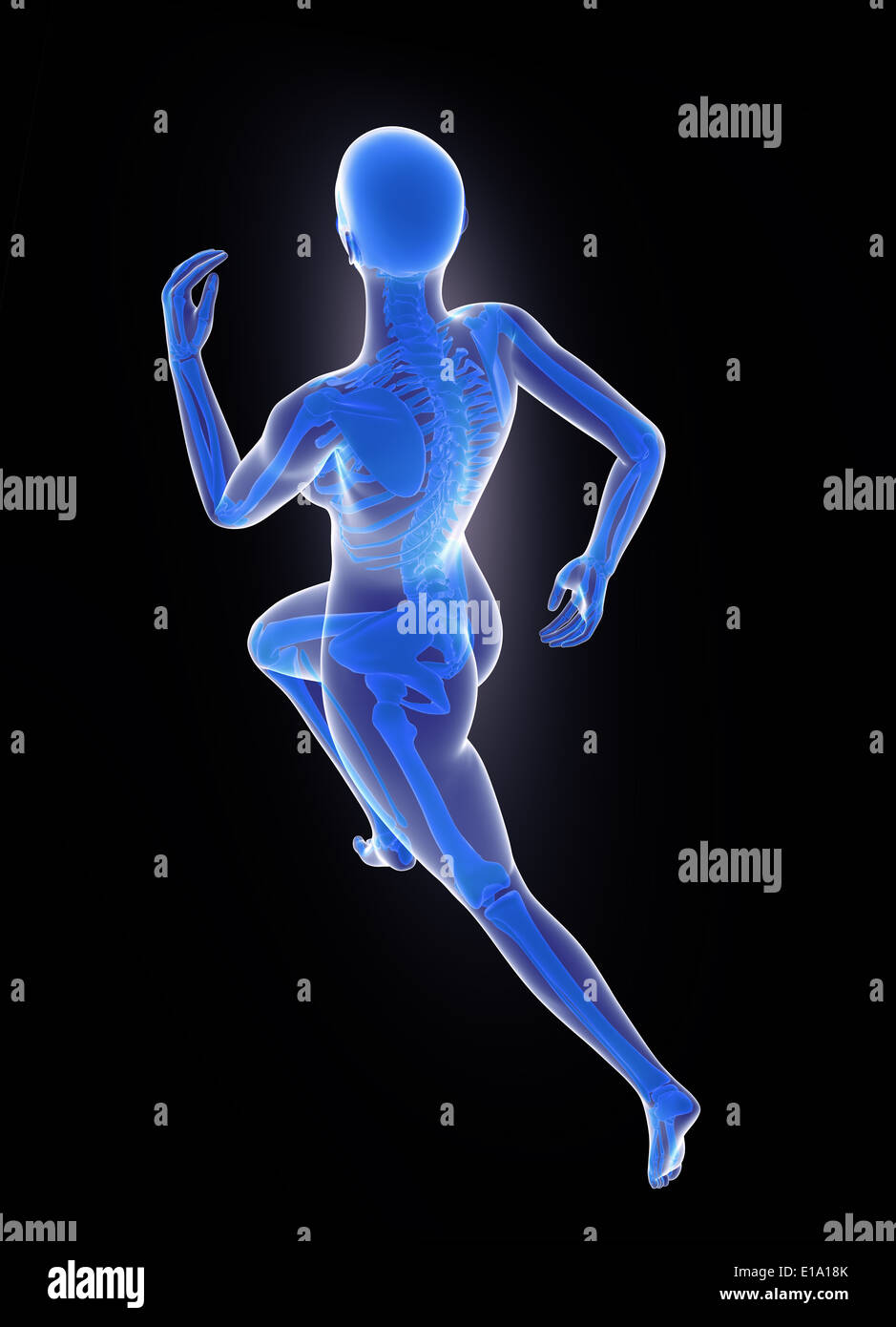Female runner anatomy - sports medicine illustration Stock Photo - Alamy