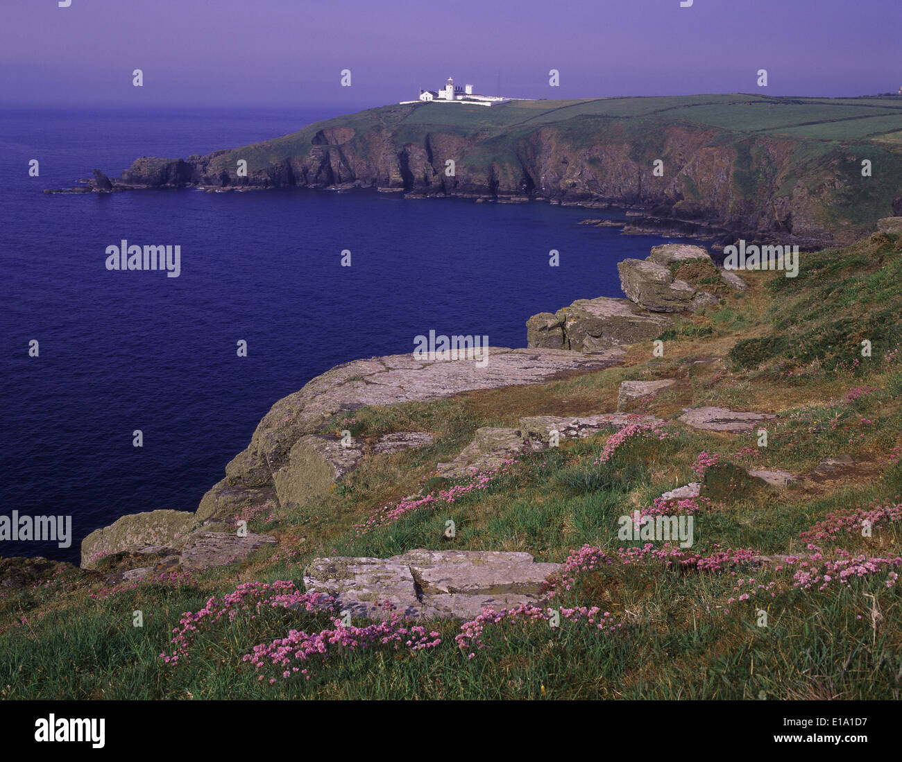 Rocks along the coast around the Lizard in Cornwall, on a misty summers ...
