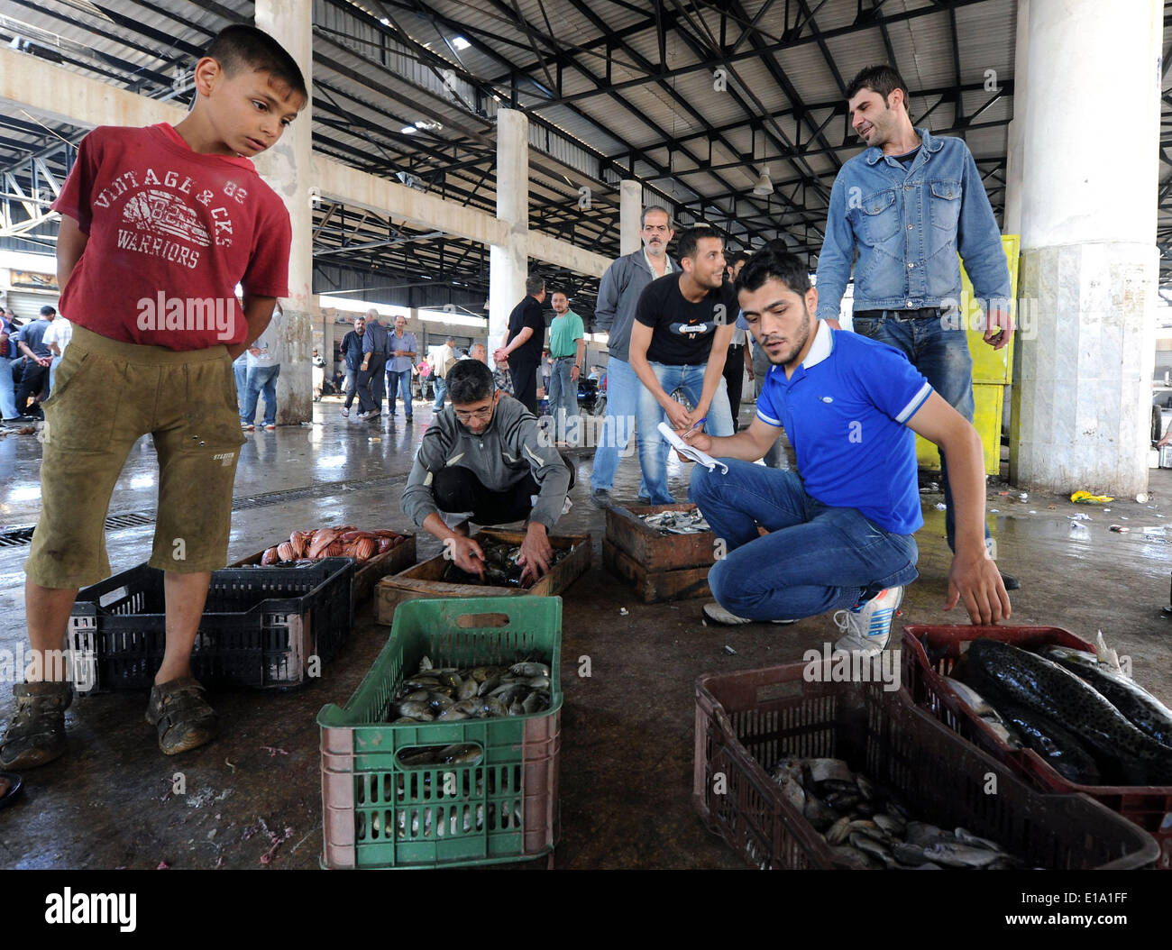 Lattakia, Syria. 26th May, 2014. People watch their newly caught fish ...