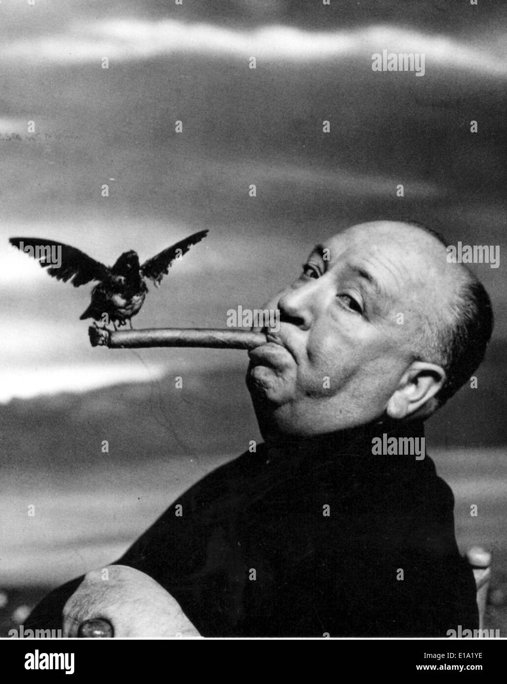 Hitchcock the birds hi-res stock photography and images - Alamy