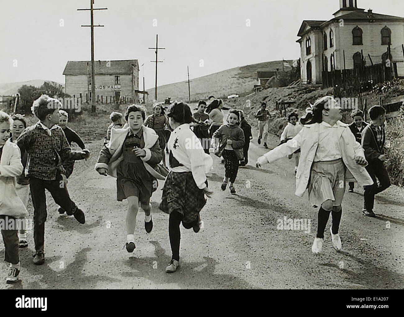 The birds - Rod Taylor, Tippi Hedren Jessica Tandy - Director : Alfred ...