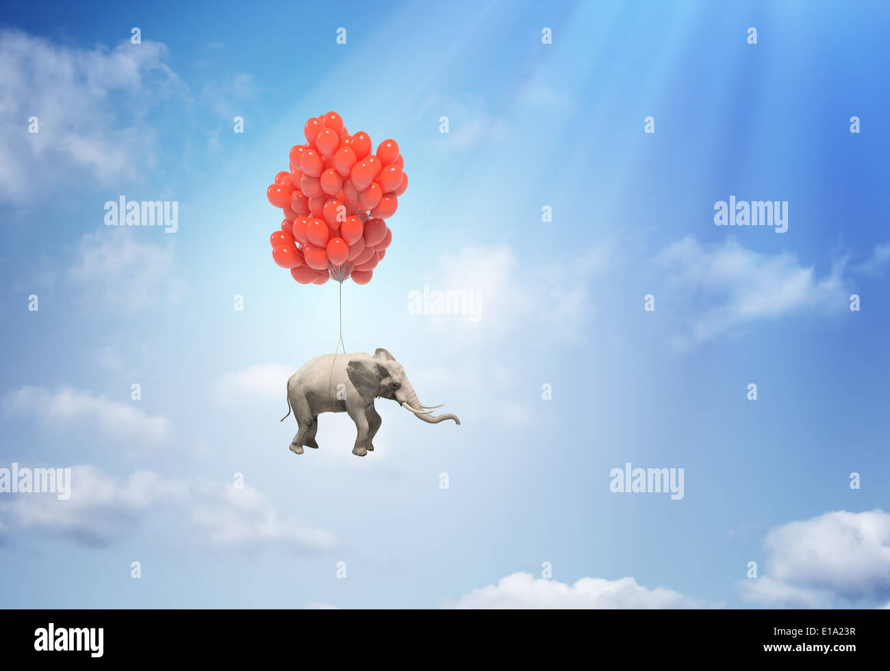 An elephant being lifted by balloons Stock Photo - Alamy