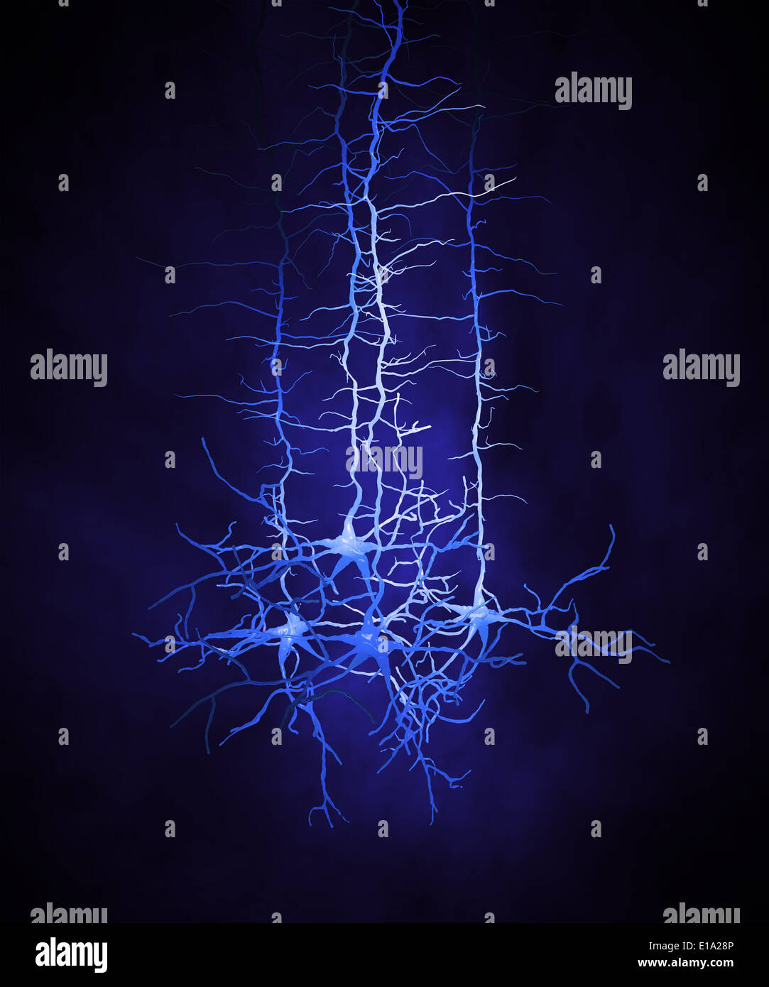 Nerve fiber signal hi-res stock photography and images - Alamy