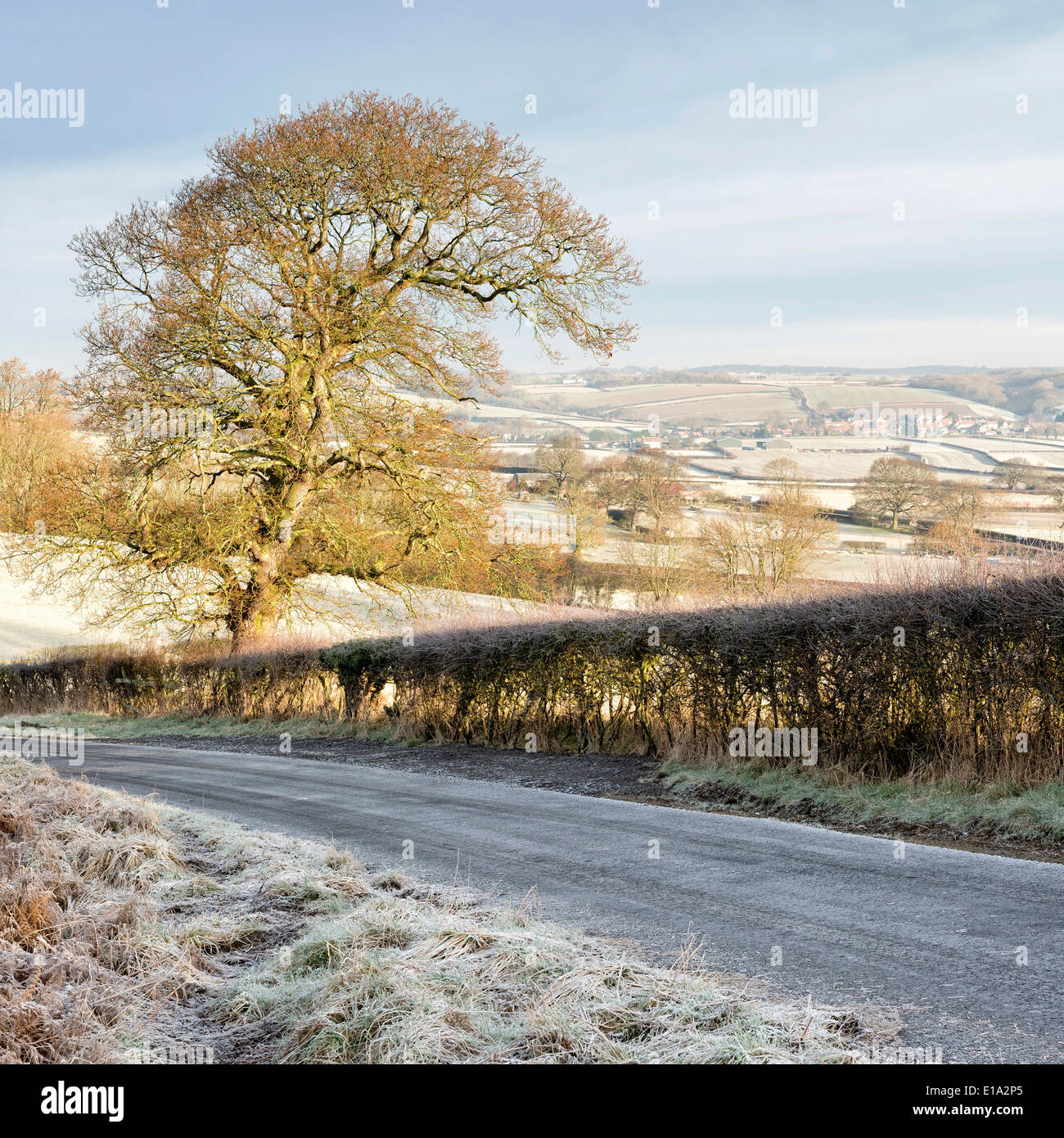 Vale of pickering hi-res stock photography and images - Alamy