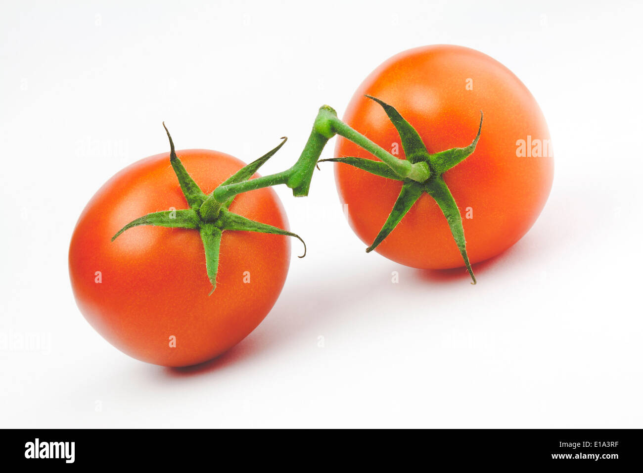 Two red tomatoes hi-res stock photography and images - Alamy