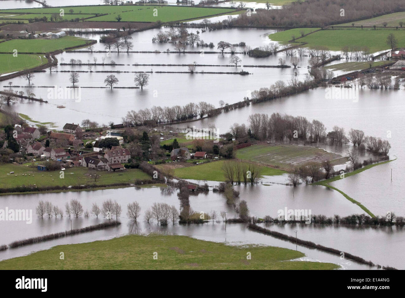 Aerial picture of the village of Thorney, Somerset, surrounded by flood ...
