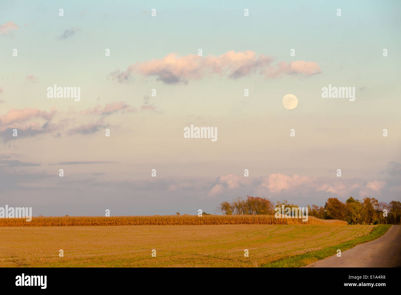 Harvest moon farm hi-res stock photography and images - Alamy