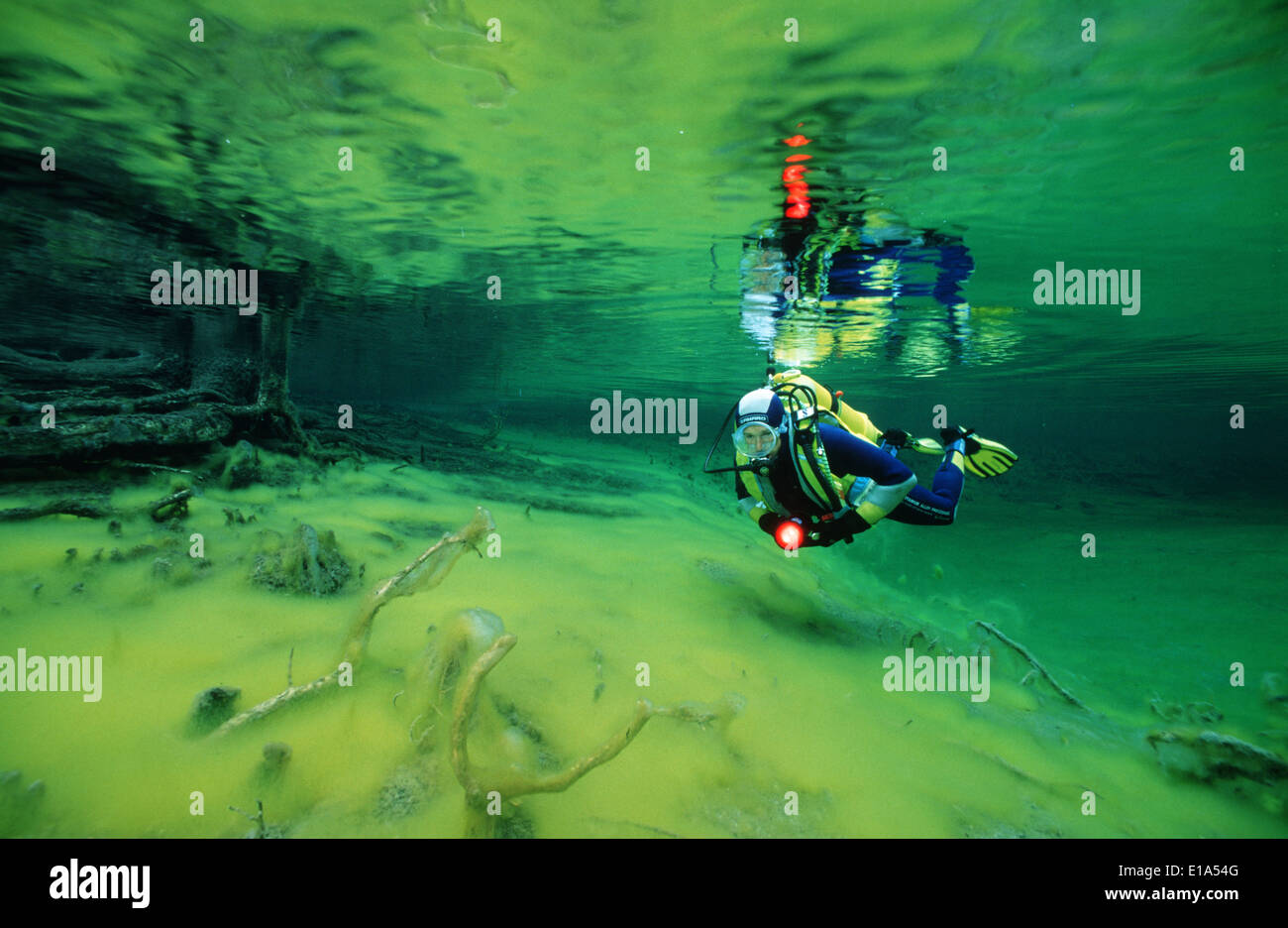 TYROL, AUSTRIA: Scuba Diver underwater, with a red lantern, in a rare ...