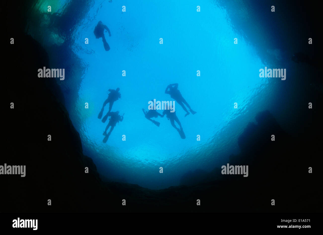 diver on the water surface Stock Photo - Alamy