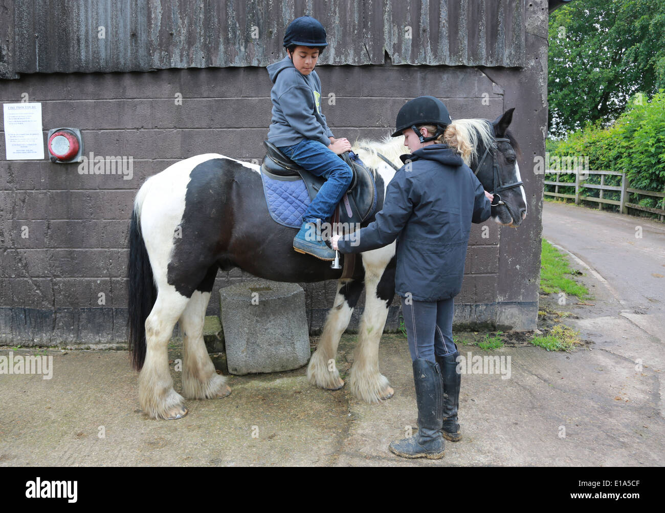 Horse riding lessons Stock Photo - Alamy