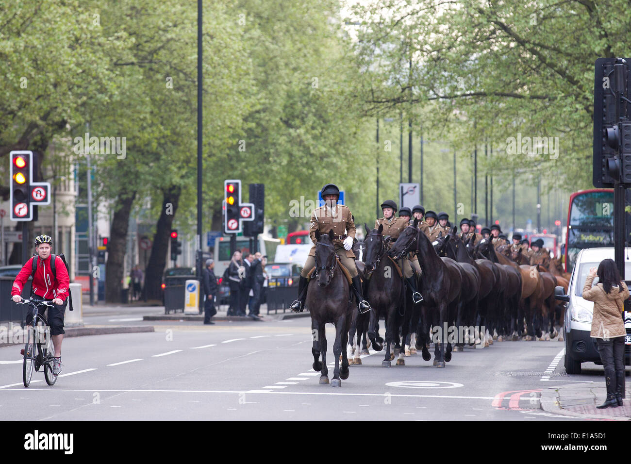 UK London : Horses are pictured on a road in central London Stock Photo ...