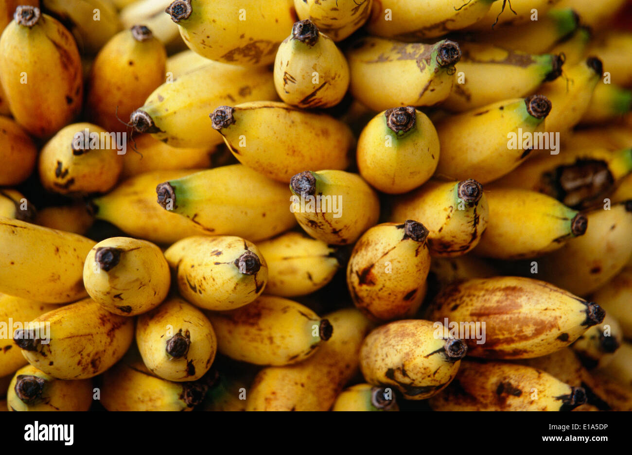 Foot bananas hi-res stock photography and images - Alamy