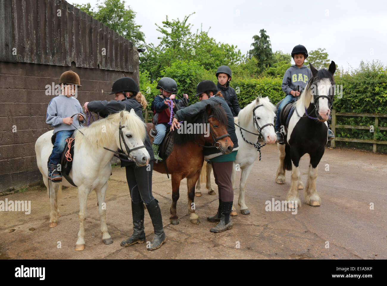 Children horse riding Stock Photo - Alamy