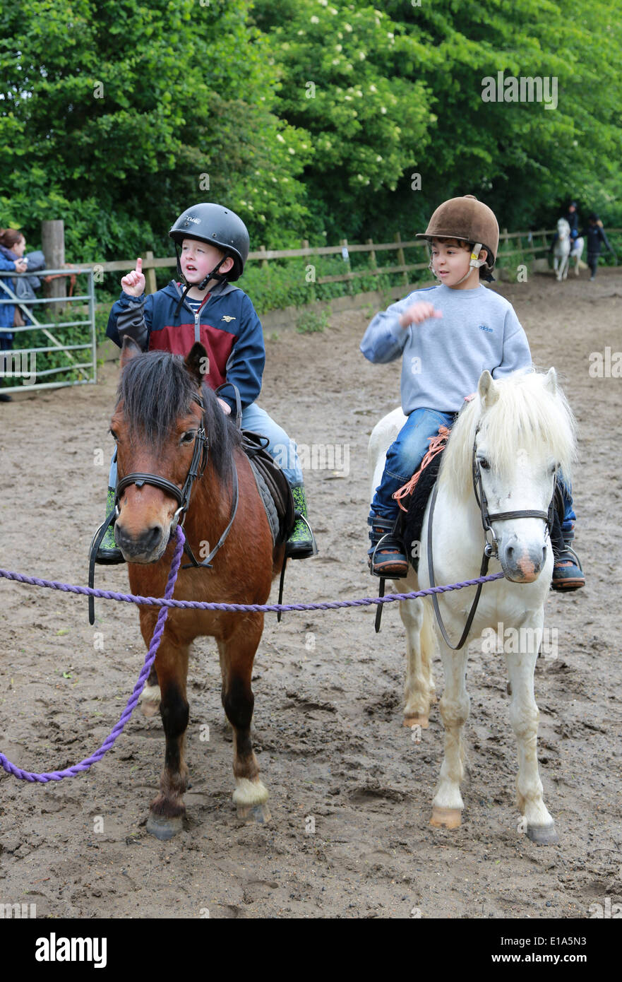 Horse riding lessons Stock Photo - Alamy