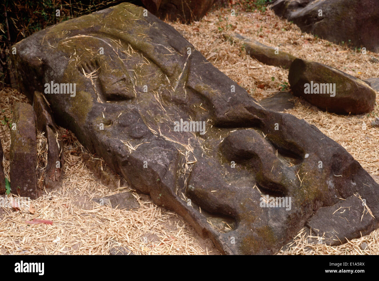 Crocodile 'sacrifice' stone, Wat Phu, a ruined khmer temple complex ...