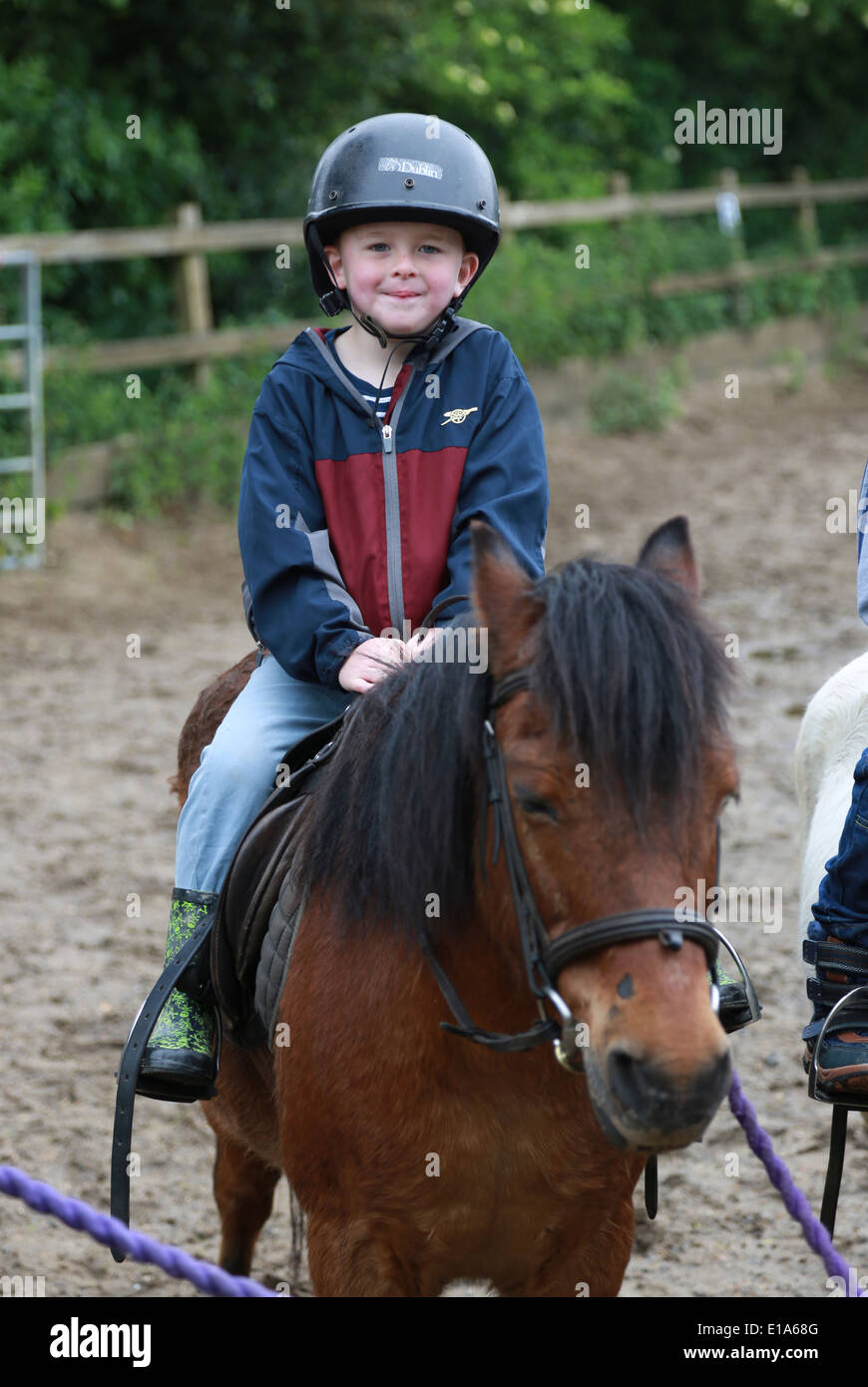 Horse riding lessons Stock Photo - Alamy
