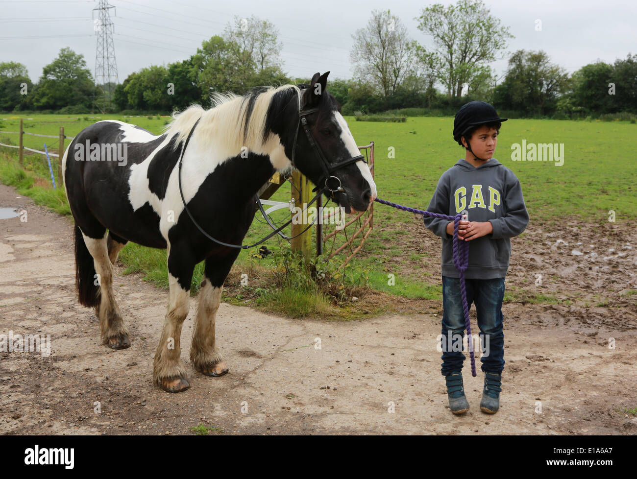 Horse riding lessons Stock Photo - Alamy