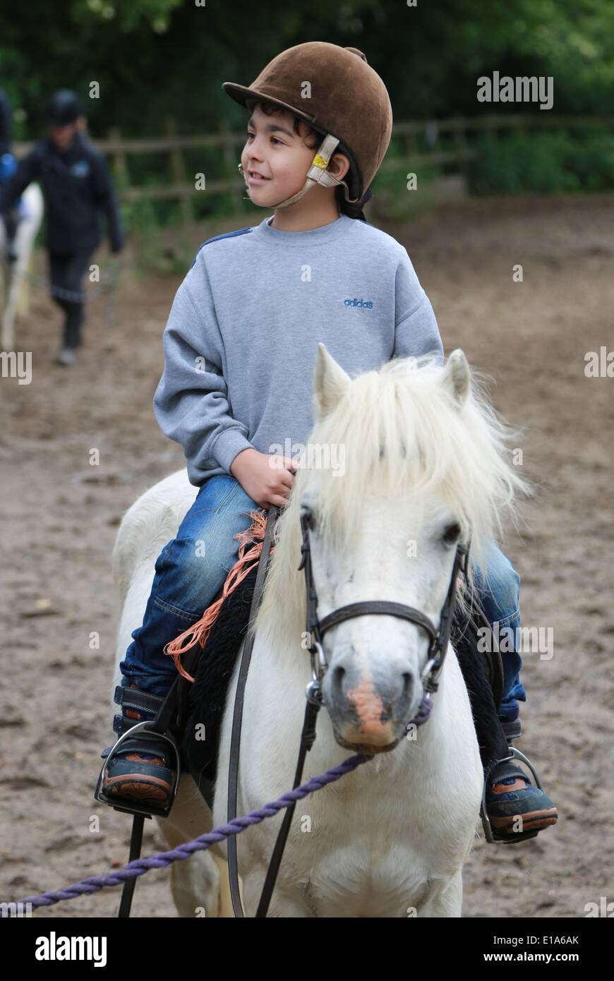 Horse riding lessons Stock Photo - Alamy