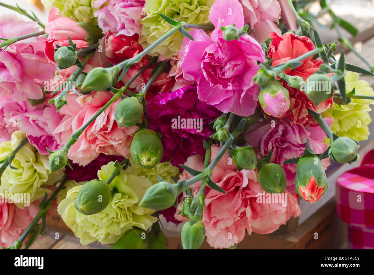 Bush carnation hi-res stock photography and images - Alamy