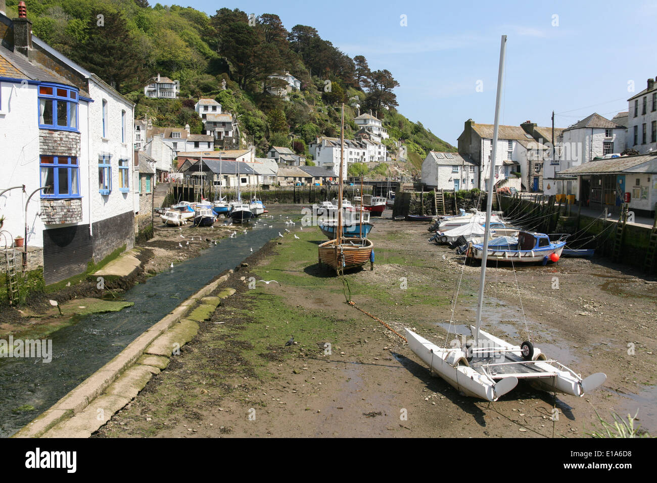 A Display of poppy/s at Plymouth Hoe UK Stock Photo - Alamy