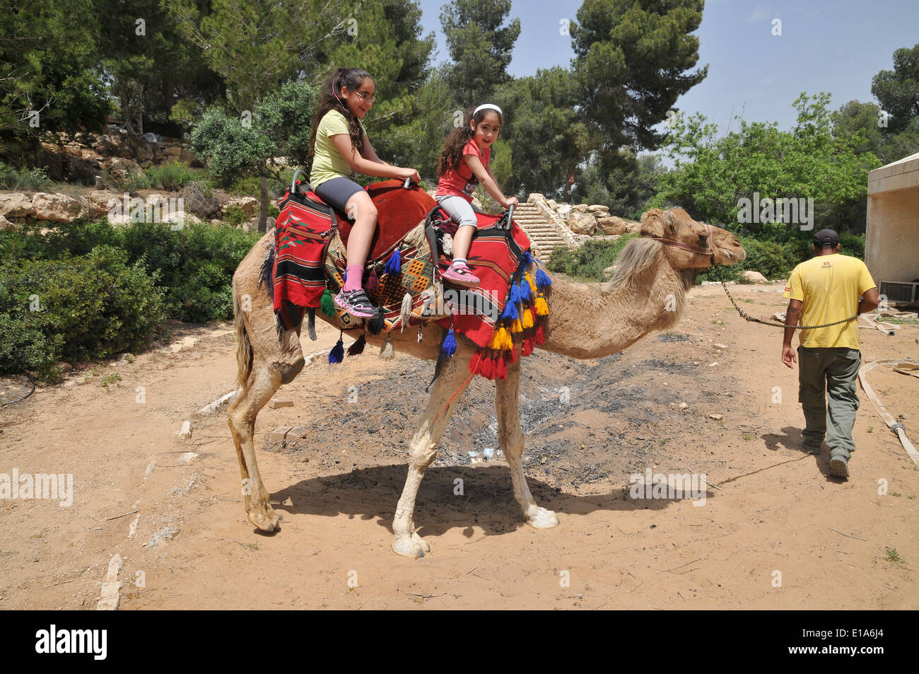 Two girls enjoy a camel ride, Negev, Israel Stock Photo - Alamy