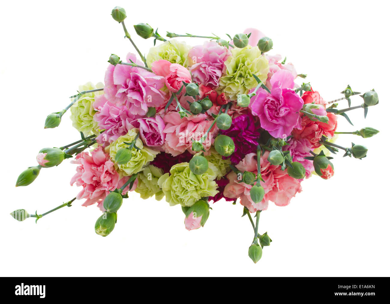 bunch of carnation flowers Stock Photo - Alamy