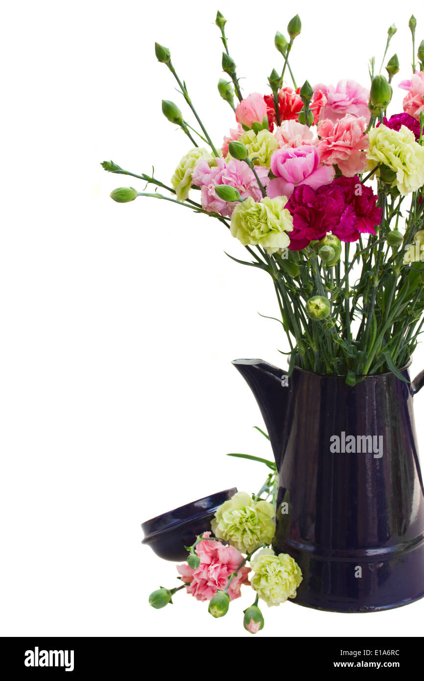 bunch of carnation flowers Stock Photo - Alamy