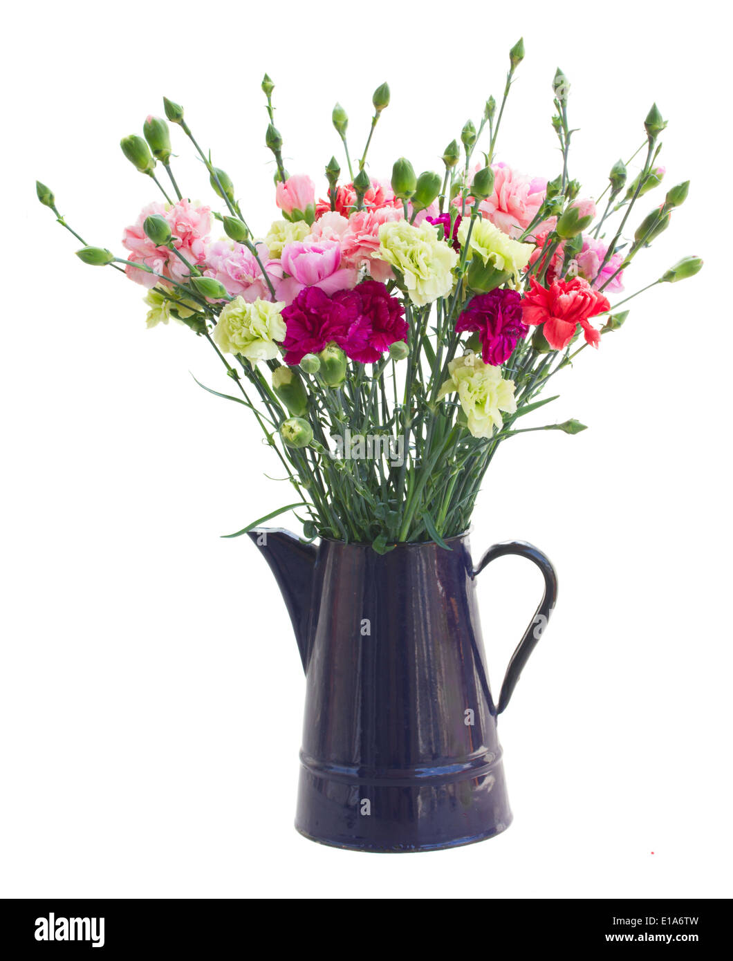 bunch of carnation flowers Stock Photo - Alamy