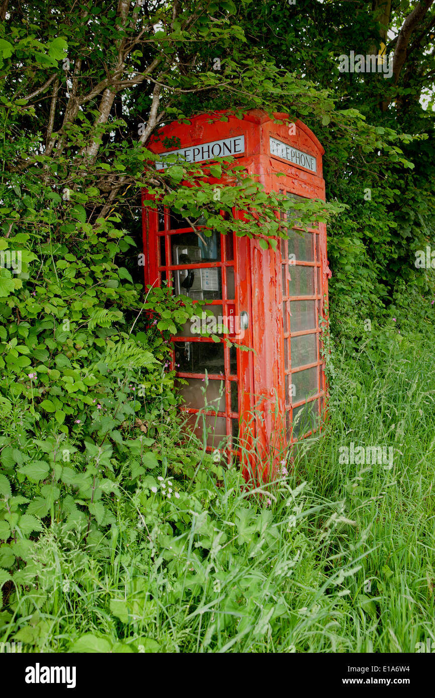Red telephone box overgrown plants hi-res stock photography and images ...