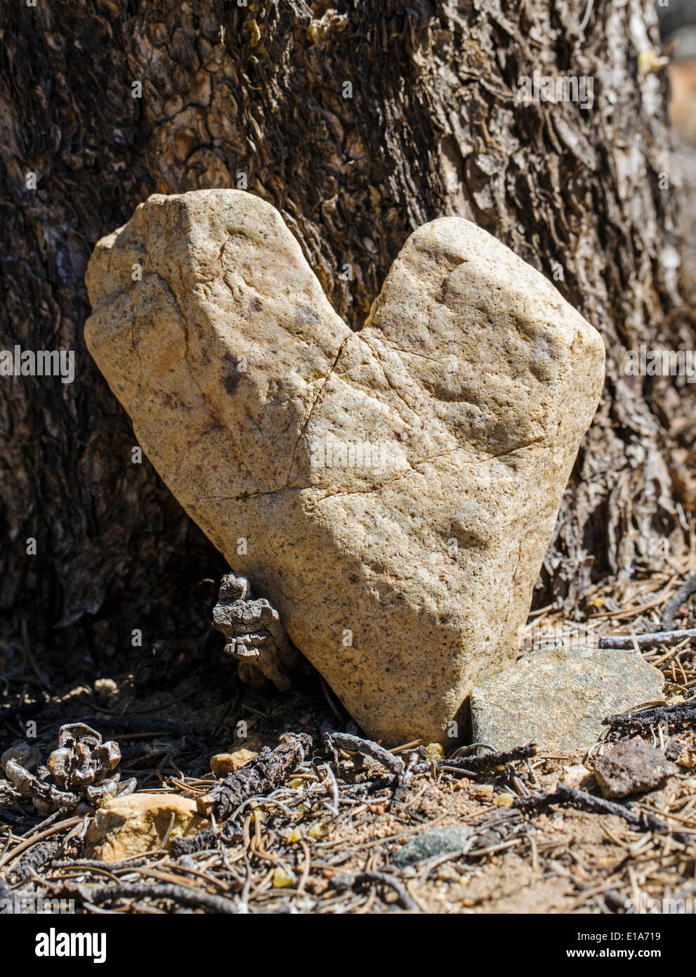 Heart shaped stone along hiking trail near Salida, Colorado, USA Stock ...