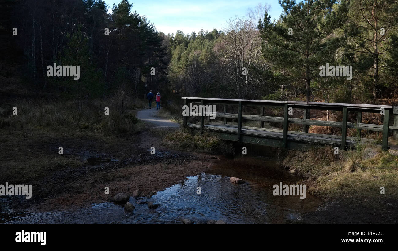 Muir burn scotland hi-res stock photography and images - Alamy
