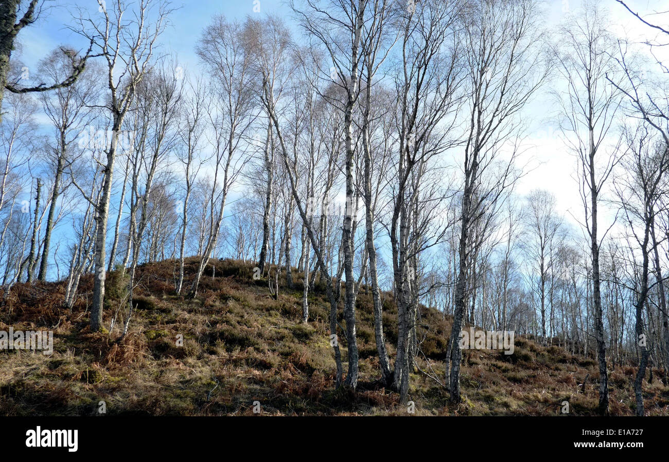 Muir hill hi-res stock photography and images - Alamy