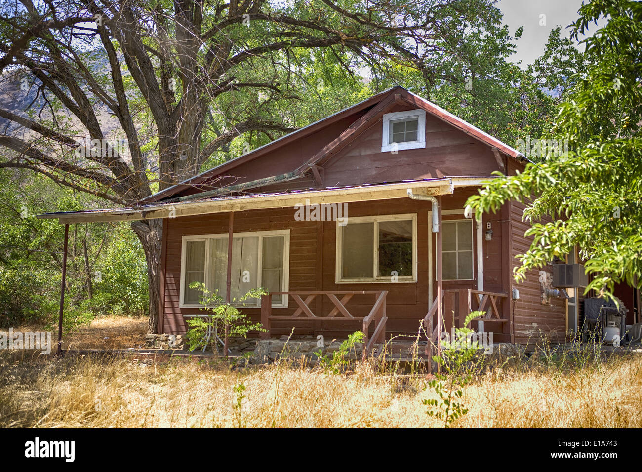 Old cabin with tin roof in the wilderness Stock Photo - Alamy