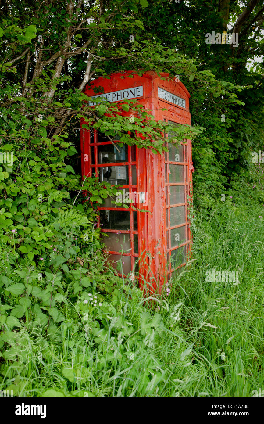 Red telephone box overgrown plants hi-res stock photography and images ...