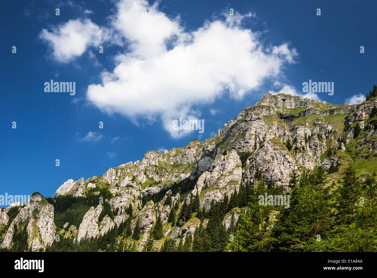 Bucegi national park hi-res stock photography and images - Alamy