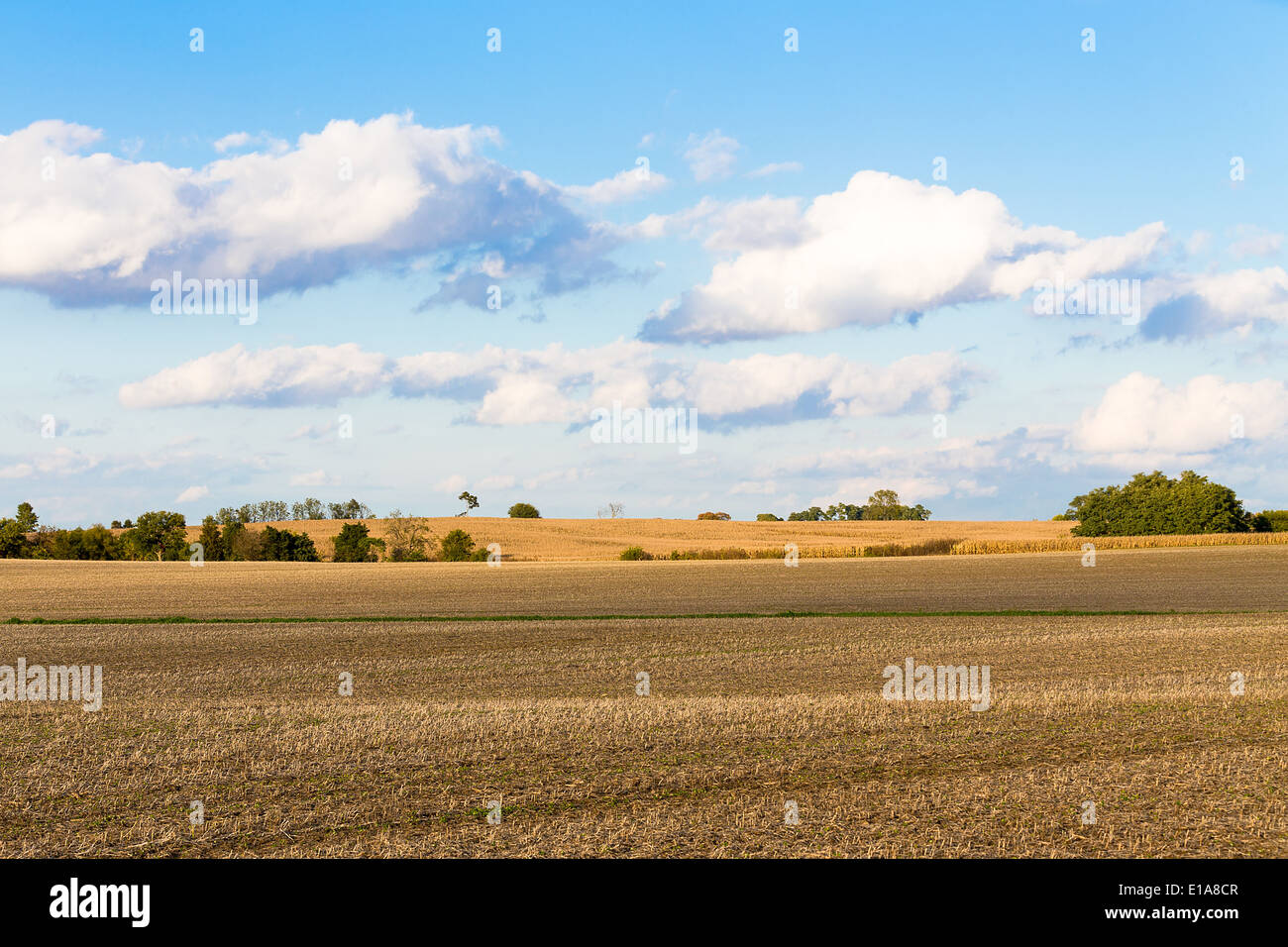 Indiana corn field landscape hi-res stock photography and images - Alamy