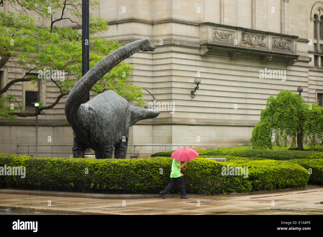Carnegie museum of natural history in Pittsburgh PA Stock Photo - Alamy