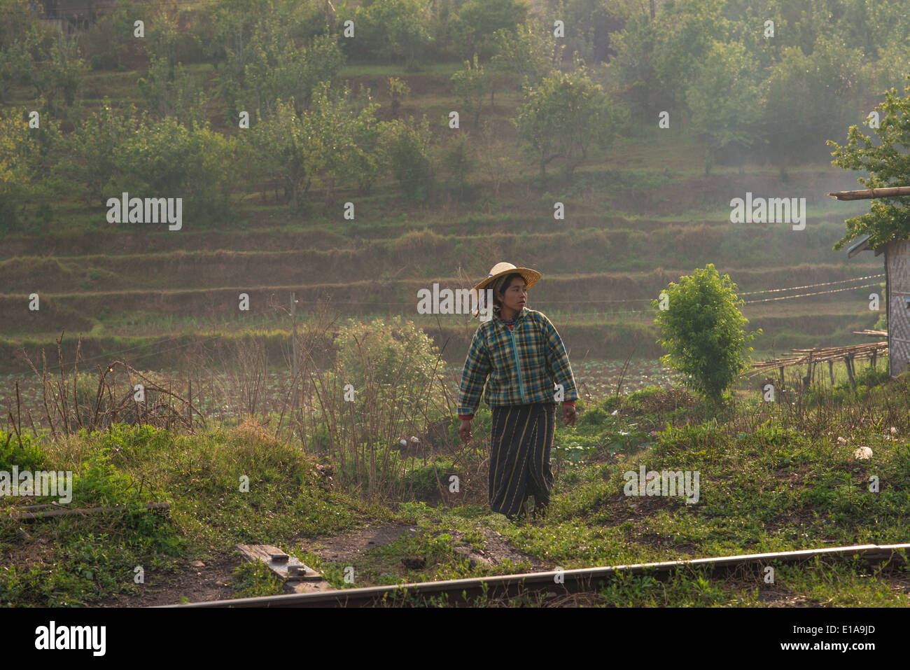 This farmer in his fields is an example of Myanmar's main industry ...