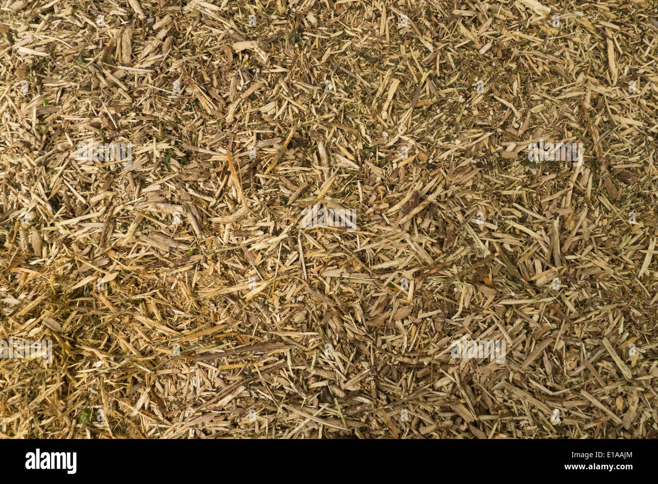 abstract pattern of wood chips Stock Photo - Alamy