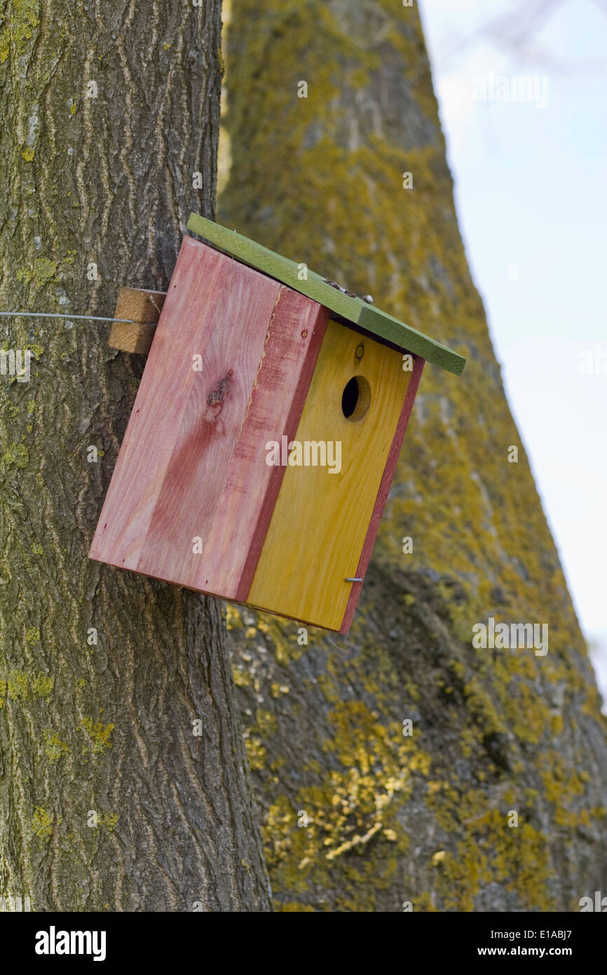 wooden bird house on a tree Stock Photo - Alamy