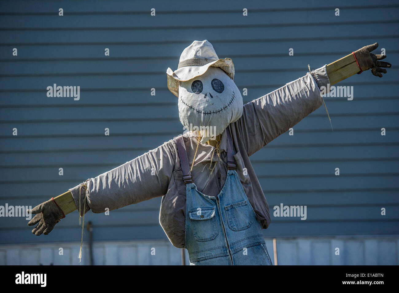Scarecrow mannequin hi-res stock photography and images - Alamy
