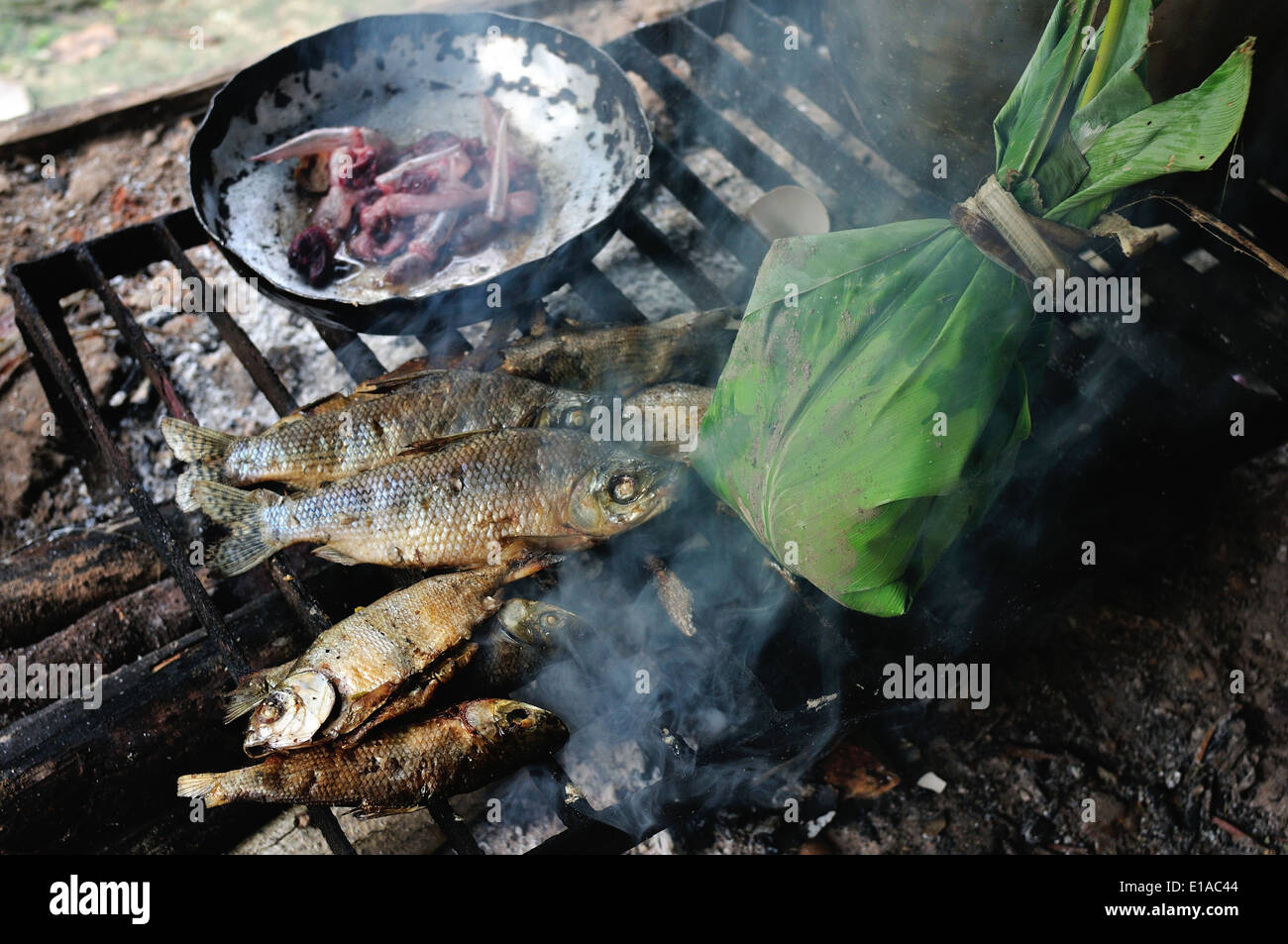 Bocachico fish - Traditional kitchen in Industria - PANGUANA ...