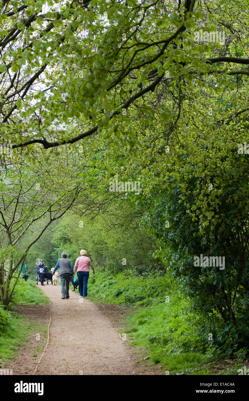 People walking along a country track in the woods Stock Photo - Alamy